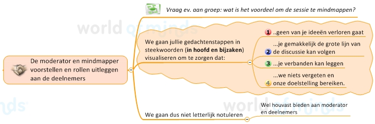 De moderator en mindmapper voorstellen en rollen uitleggen aan de ...